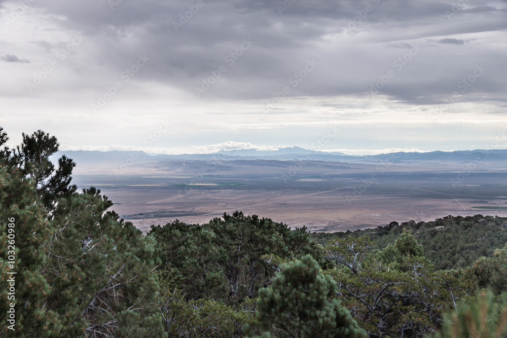 Nevada-Great Basin National Park-This is the Osceola Ditch Trail, which ...