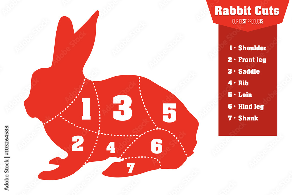 Rabbit cuts infographic set of meat parts, vector Stock Vector | Adobe ...