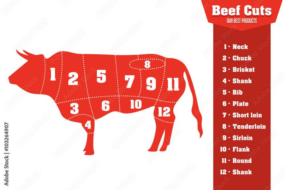Beef cuts infographic set of meat parts, vector Stock Vector | Adobe Stock
