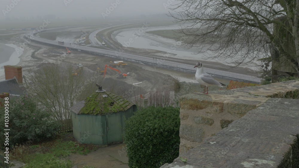 Gull Mont St Michel walls famous tourist attraction in northern France ...