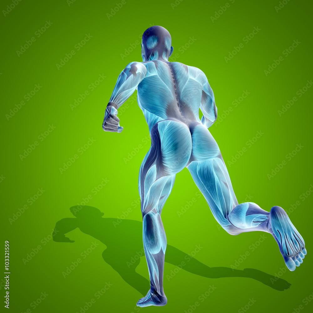 Conceptual 3D human man health anatomy on green Stock Illustration ...