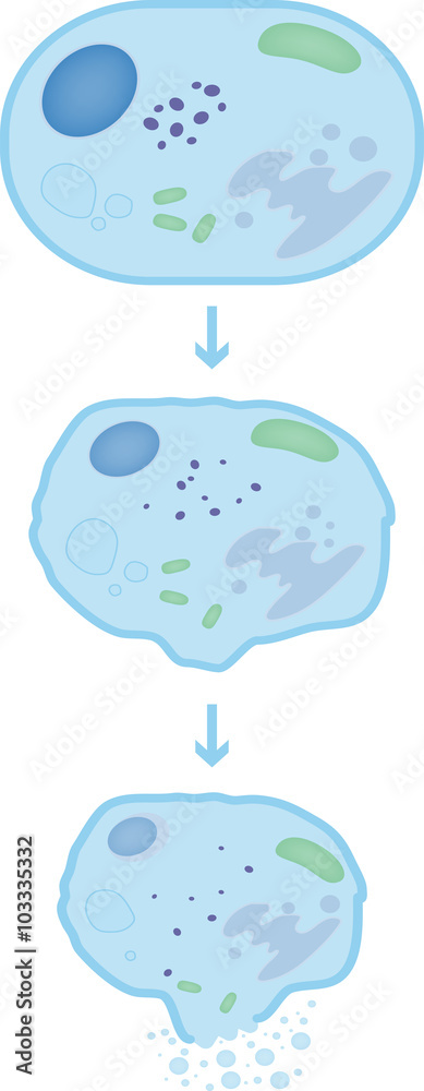 Necrosis Stock Illustration | Adobe Stock