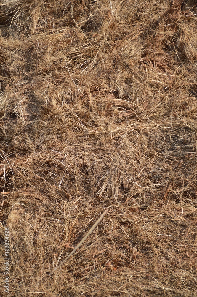 Coconut Coir Husk Fiber texture Stock Photo | Adobe Stock