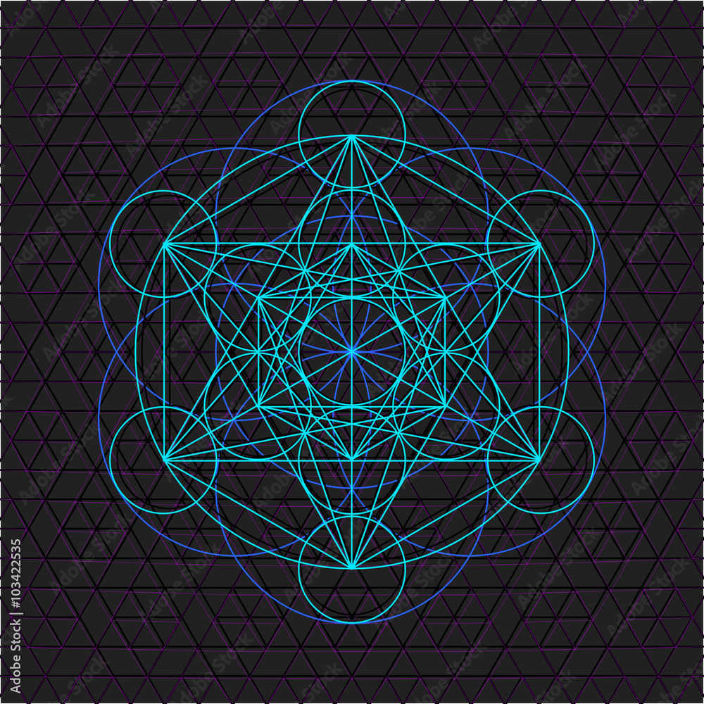 metatron outline seed of life sacred geometry. Stock Vector | Adobe Stock