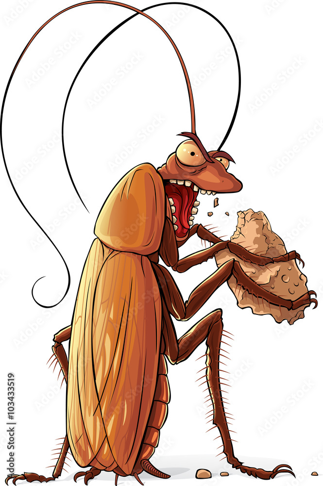 Cockroach eat Red cockroach in standing pose with a eat. Stock Vector ...