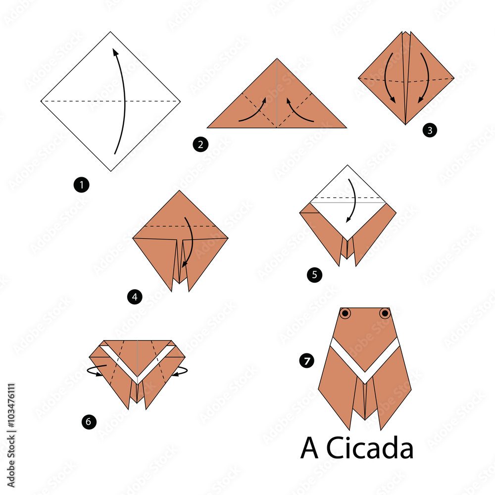 step by step instructions how to make origami A Cicada. Stock Vector ...