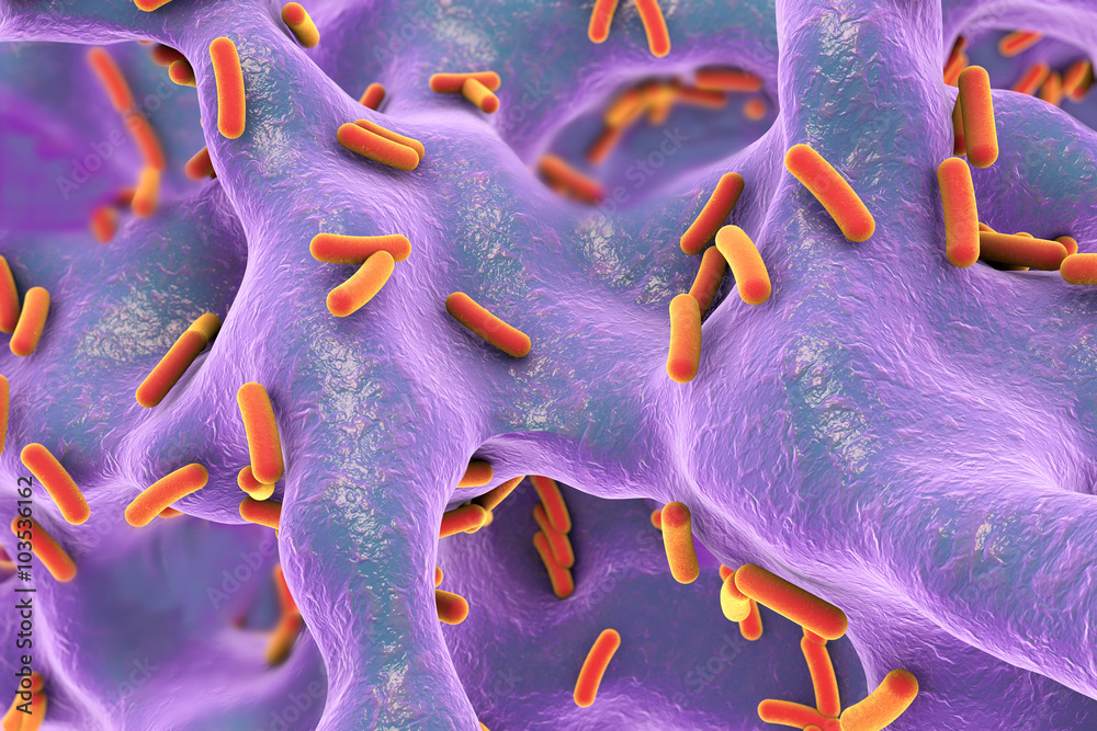 Bacteria inside human body. Rod-shaped bacteria inside bone tissue ...