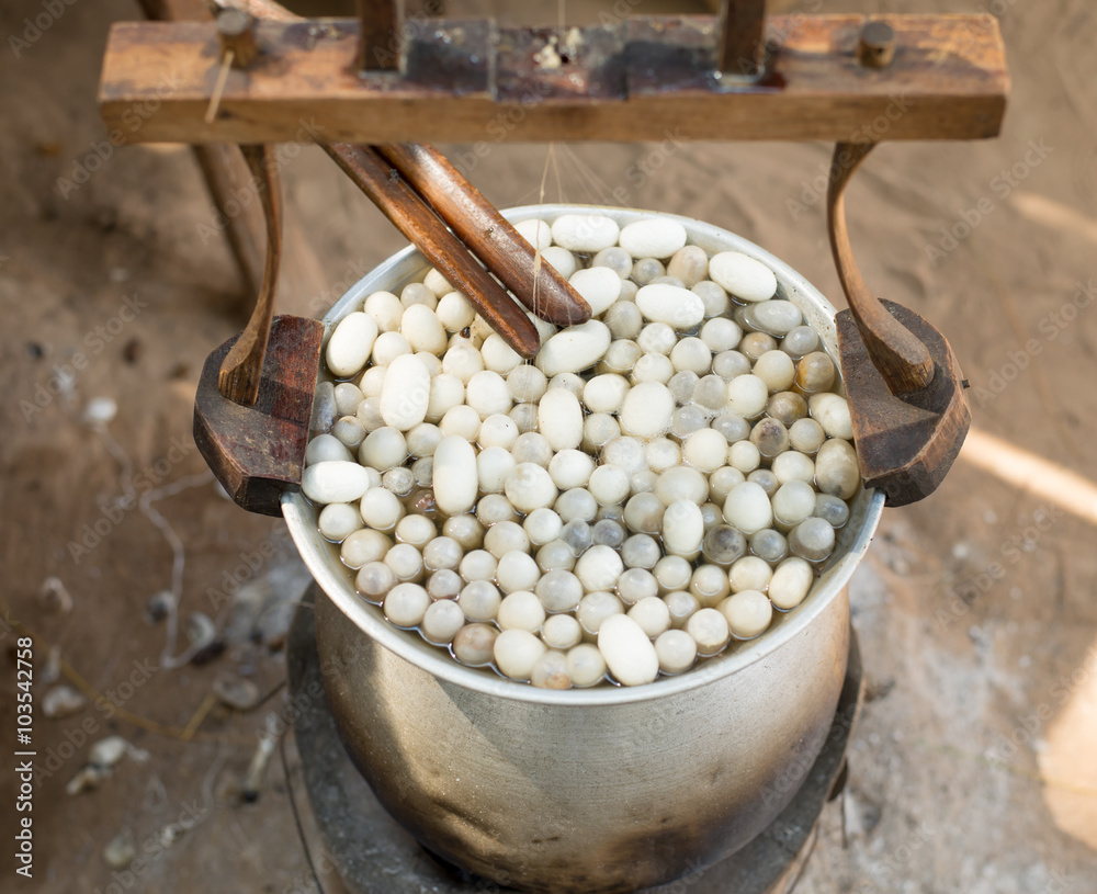 Silk Cocoon Processing