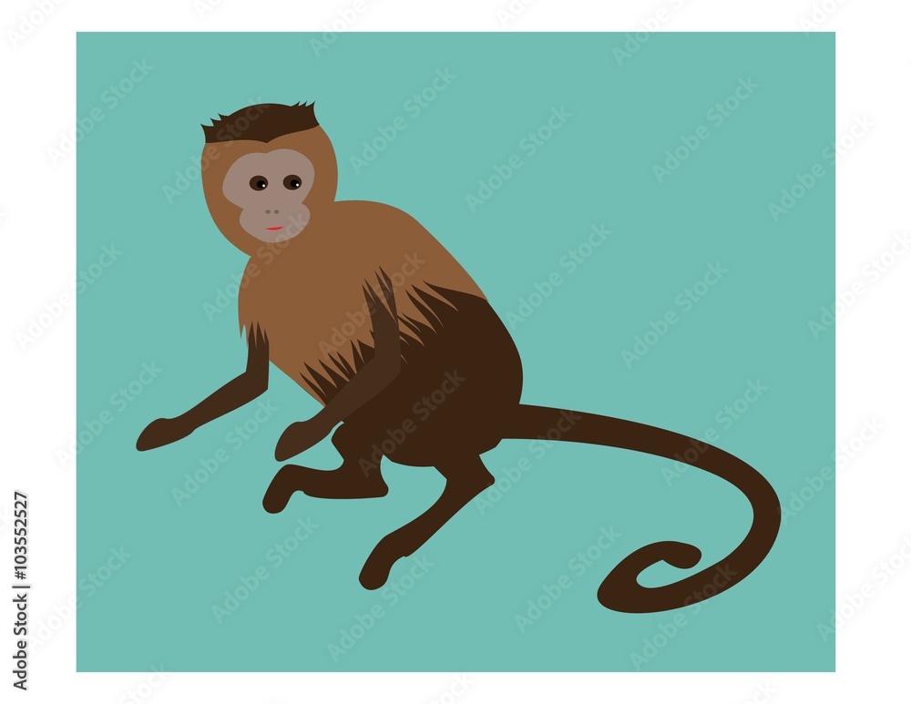 Cute cartoon capuchin monkey Stock Vector | Adobe Stock