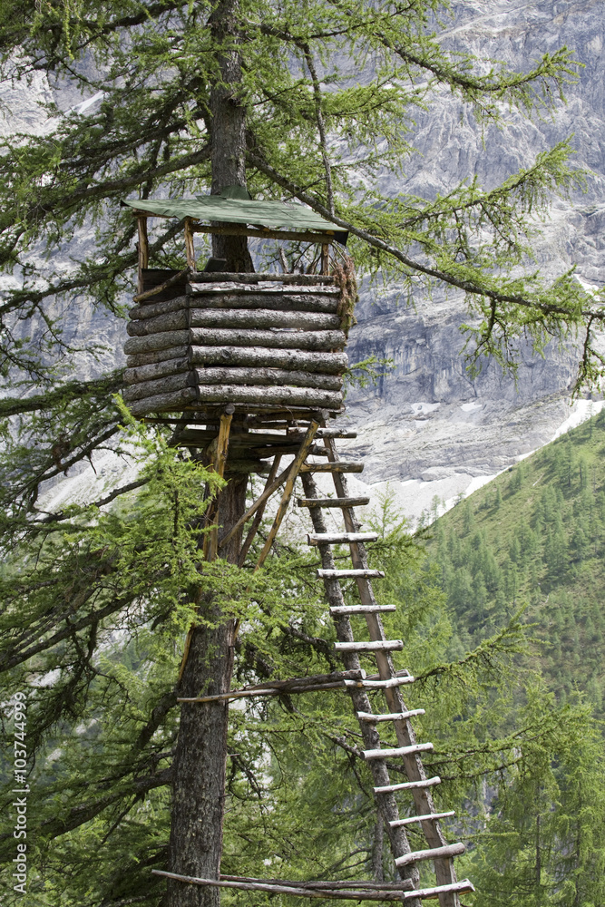 Ein Hochsitz Stock Photo | Adobe Stock