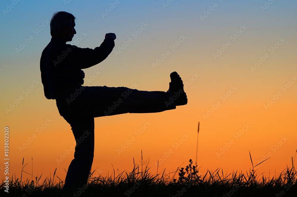 Man practicing karate on the grassy horizon after sunset. Karate front ...