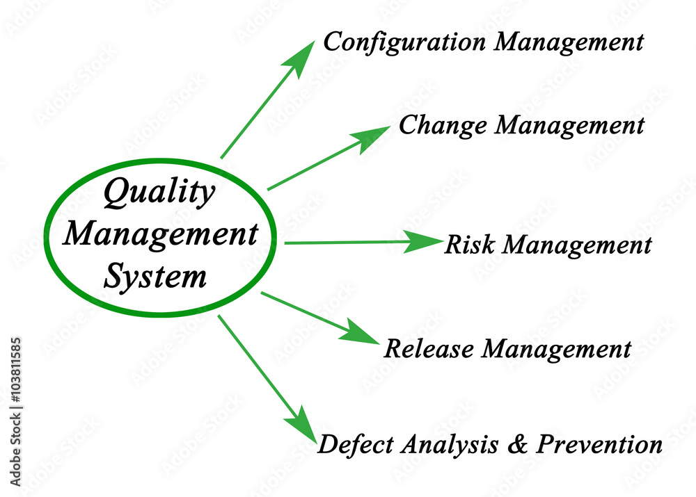 Diagram of Quality Management System Stock Illustration | Adobe Stock