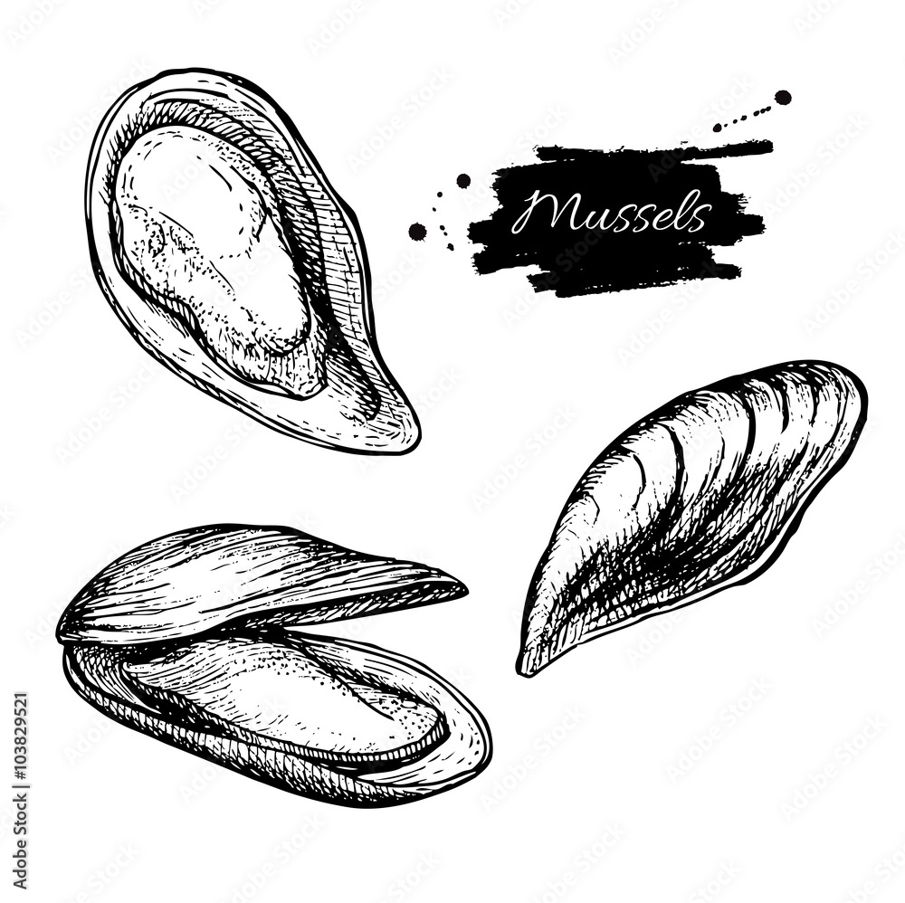 Vector vintage mussel set drawing. Hand drawn monochrome seafood Stock ...