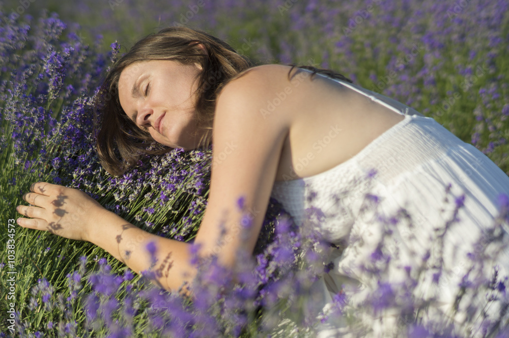Bed of lavender Stock-Foto | Adobe Stock
