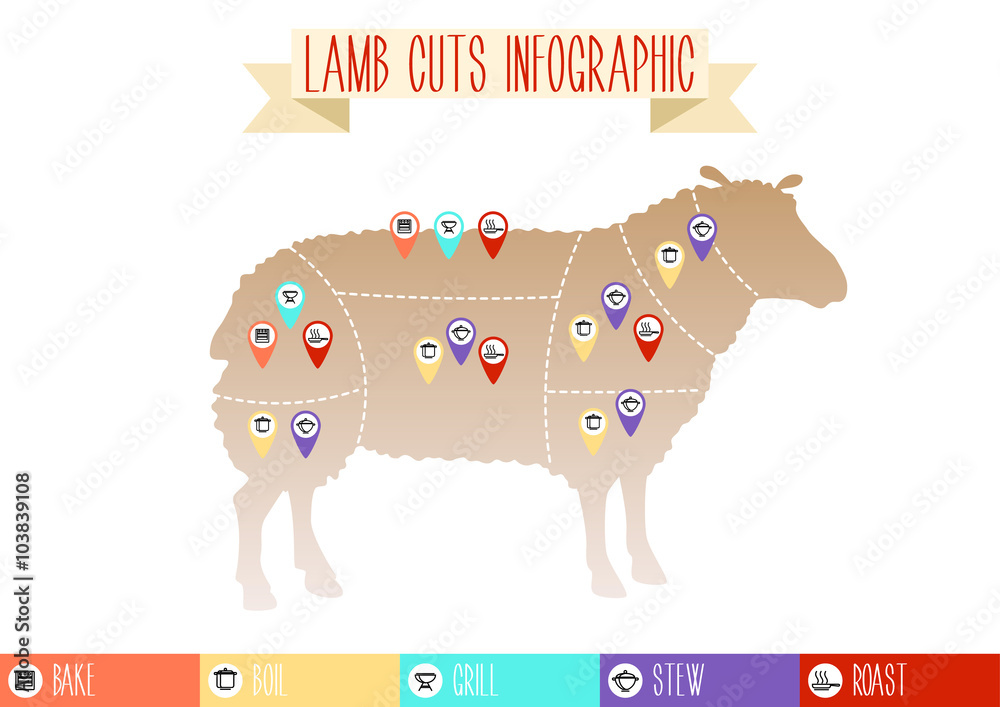 Lamb cuts infographic. Vector silhouette of a sheep with markers and ...