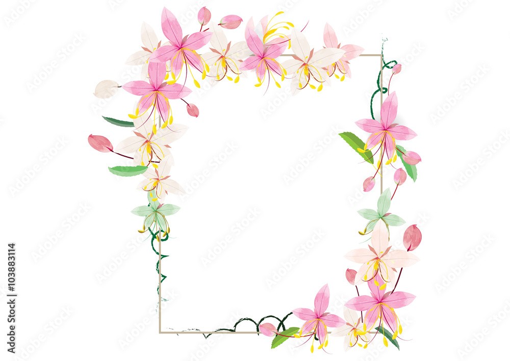 Pink Flower Borders And Frames