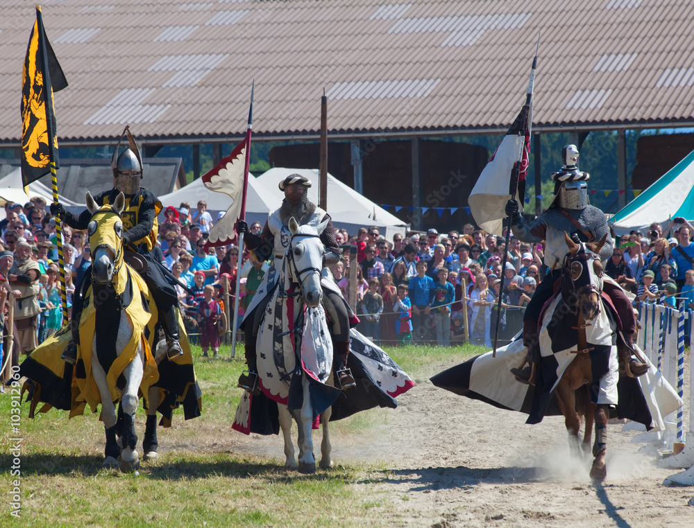 Knight Stock Photo | Adobe Stock