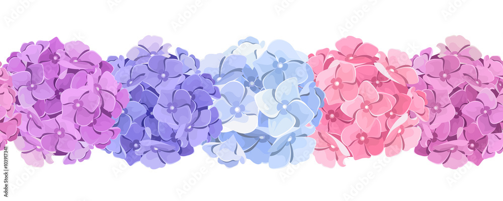 Hydrangea Clipart Borders