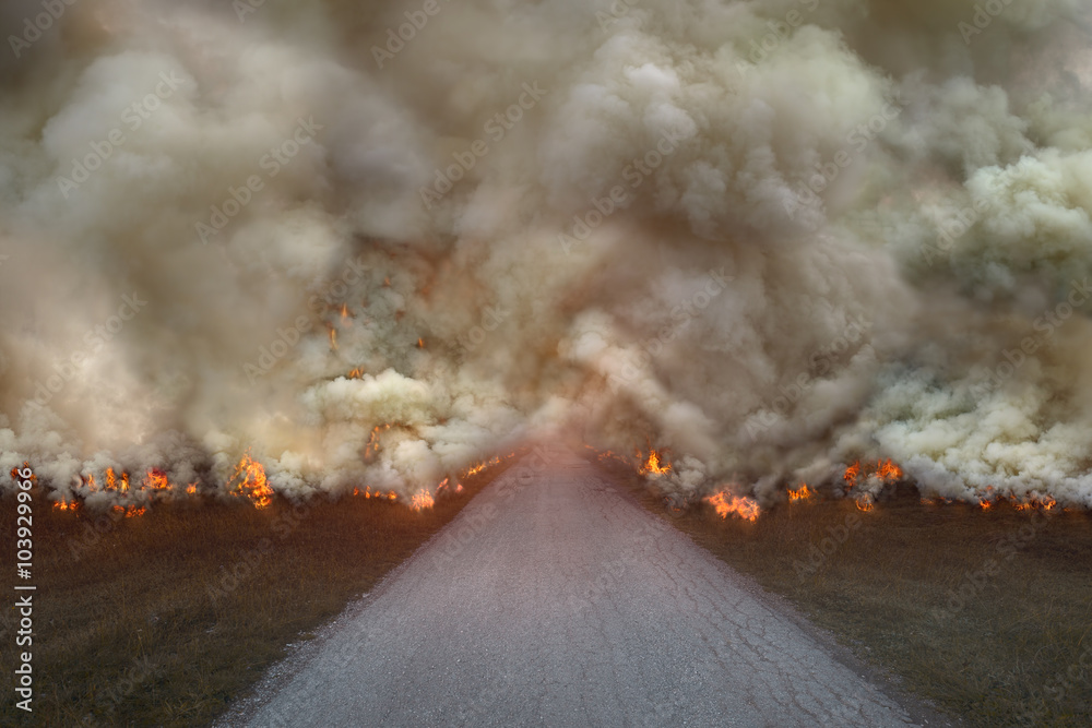Natural disaster with big fire on the road Stock Photo | Adobe Stock