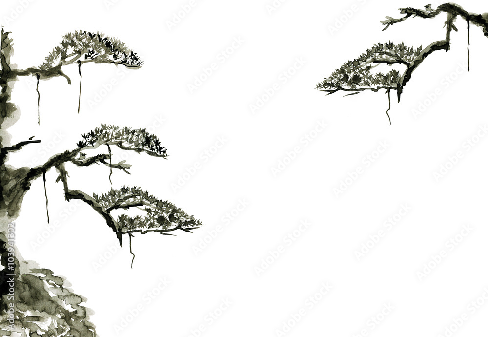 Branches of pine trees isolated on white background with space for text ...
