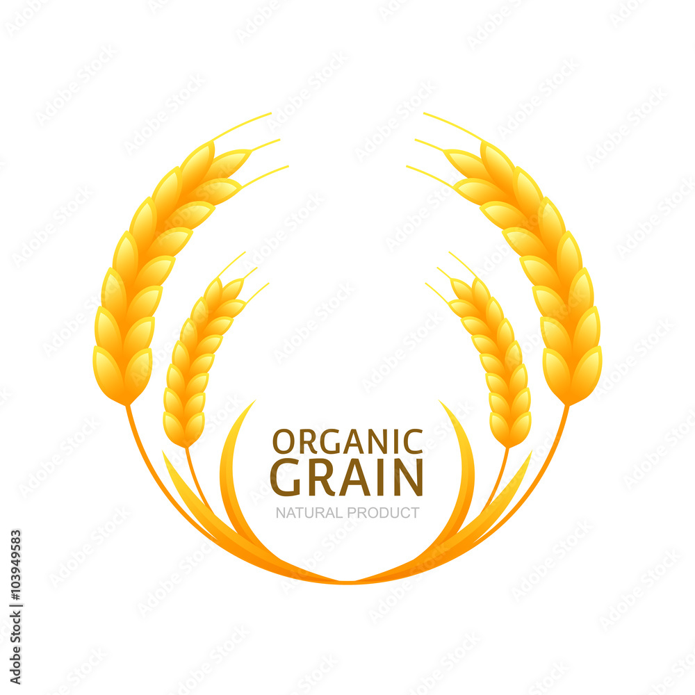 Circle frame of wheat or rye grain. Vector logo or label design ...