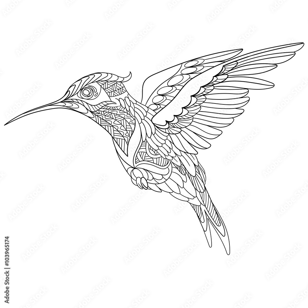 Zentangle stylized cartoon hummingbird, isolated on white background ...