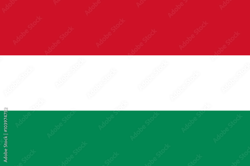 Vector of Hungarian flag. Stock Vector | Adobe Stock