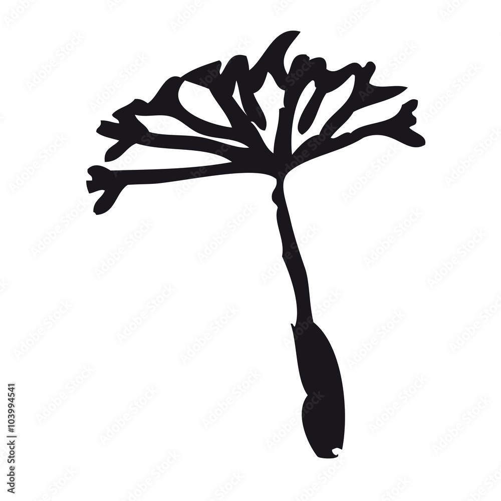 Kleines abstraktes icon - fliegender Samen der Pusteblume, Tattoo ...