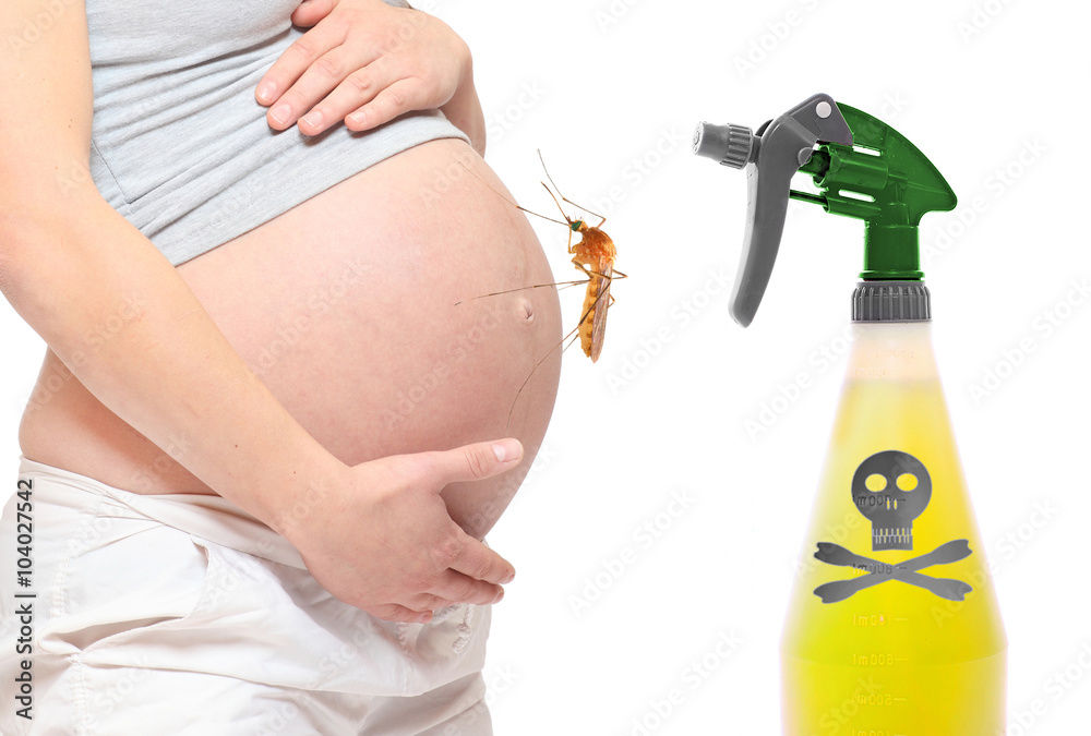 Poster Pregnant belly with big mosquito and insecticide sprayer – Wall ...