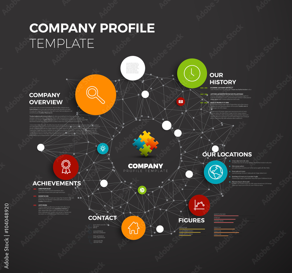 Vector Company infographic overview design template Stock Vector ...
