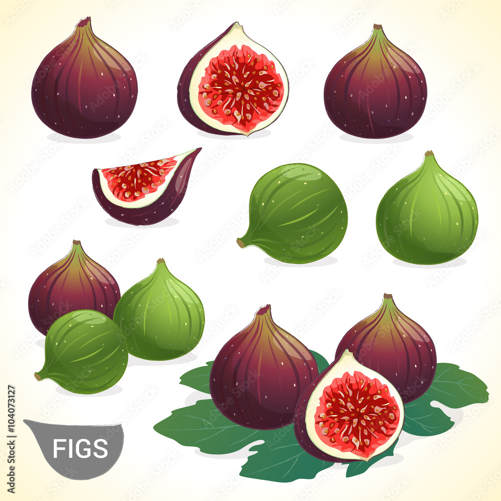 Set of dark fig and green figs in various styles vector format Stock ...