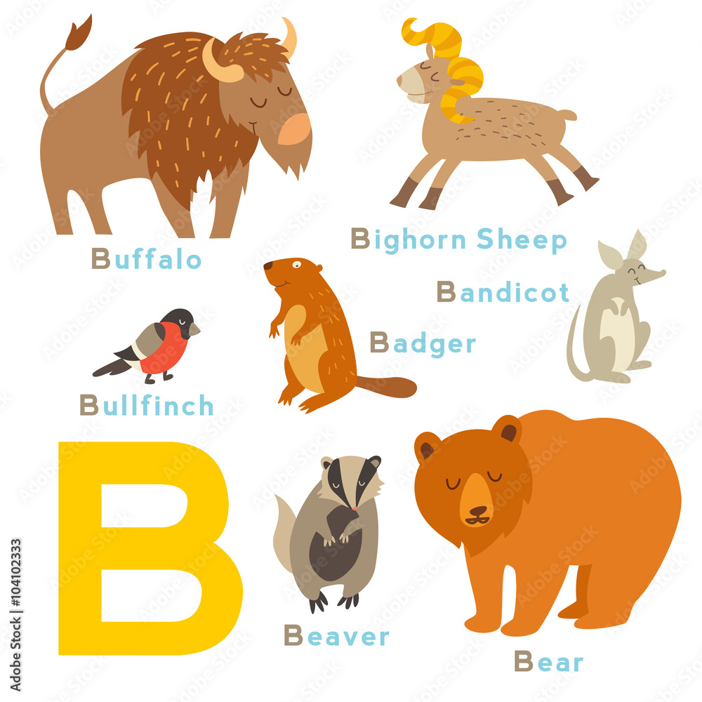 B letter animals set. English alphabet. Vector illustration, isolated ...