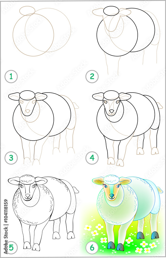 How To Draw A Sheep Step By Step