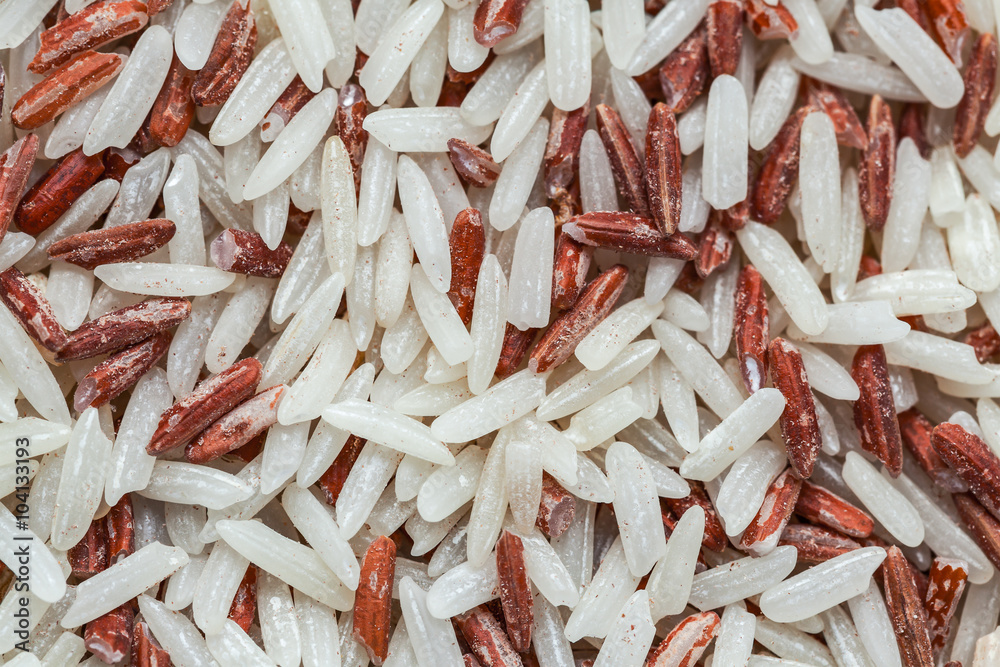 Brown Rice, destroyed by Red flour beetle, science names "Tribol Stock ...