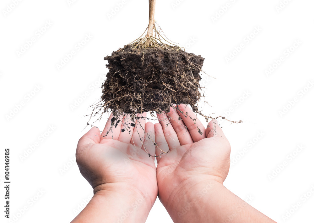 hand and Root Plant with soi, concept safe earth Stock Photo | Adobe Stock