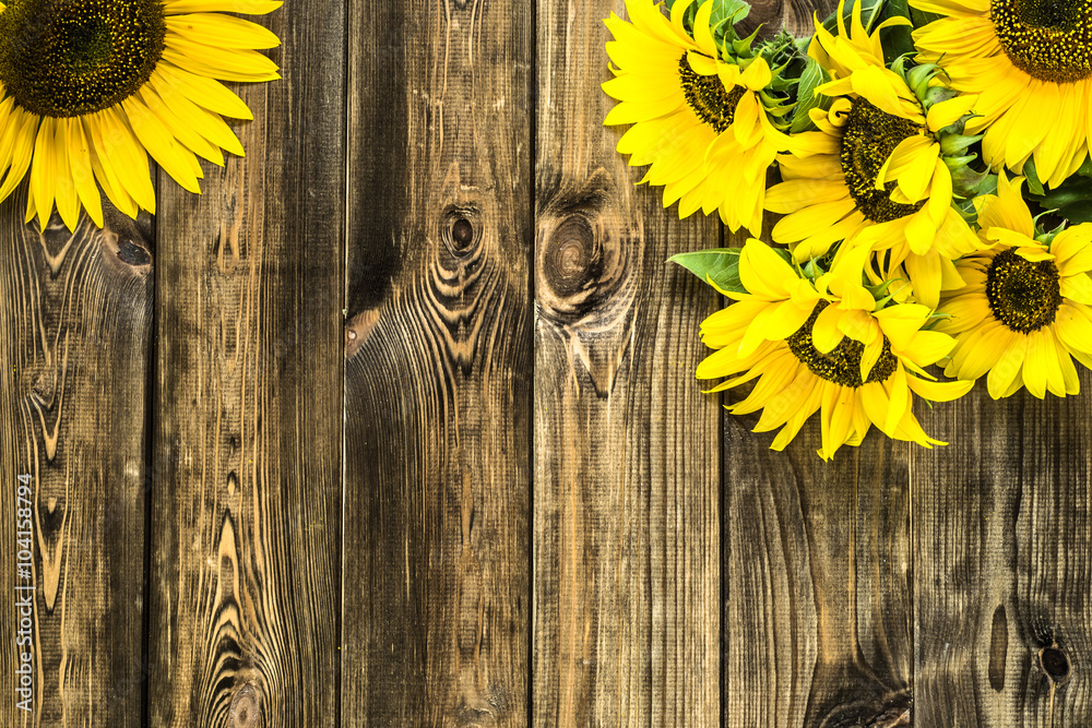 Sunflowers on rustic wood background. Flowers backgrounds. Stock Photo ...