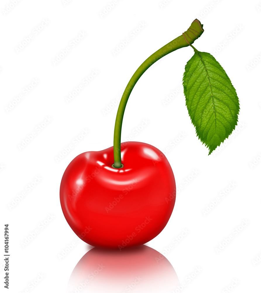frische reife Kirsche, freigestellt Stock-Illustration | Adobe Stock