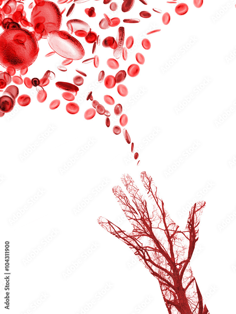 Human Hand Blood Cells Vessels Stock Photo | Adobe Stock