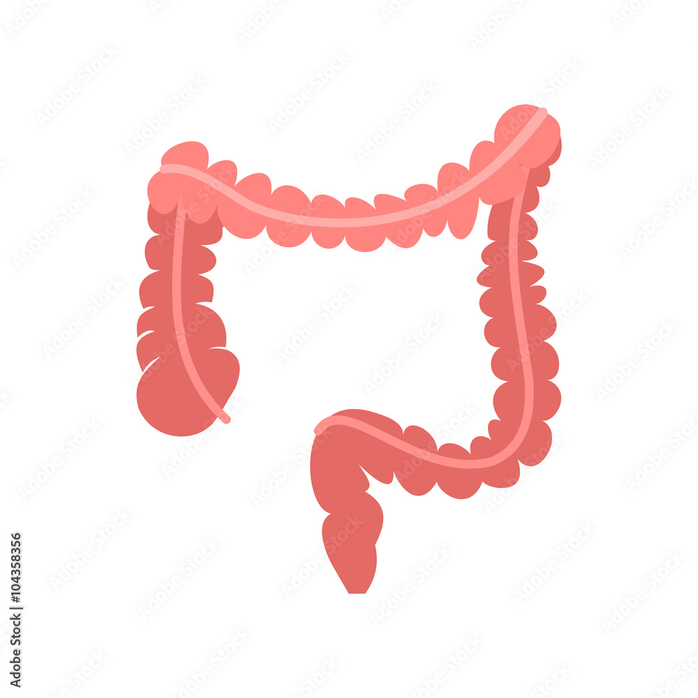 Colon icon flat Stock Vector | Adobe Stock
