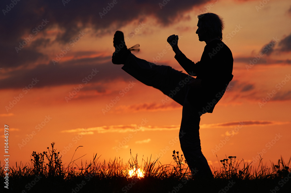 Man practicing karate on the grassy horizon after sunset. Karate front ...