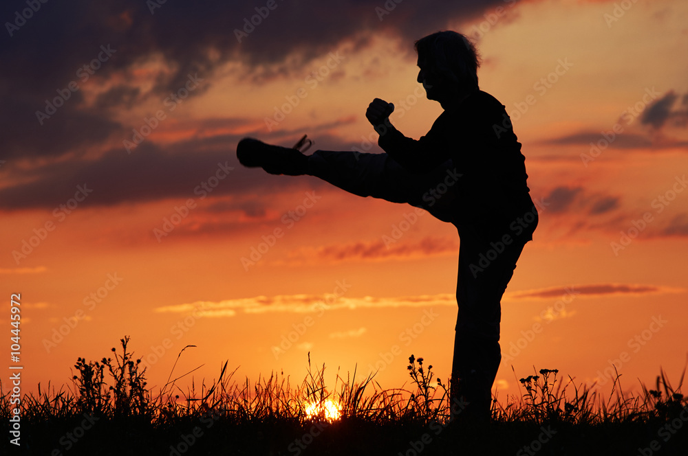 Man practicing karate on the grassy horizon after sunset. Karate kick ...