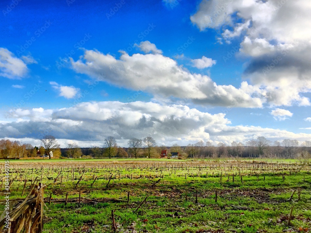 farmland Stock Photo | Adobe Stock