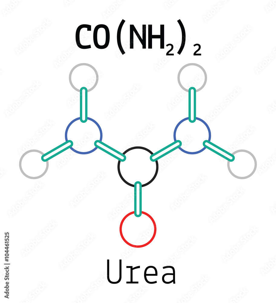 Urea Molecule