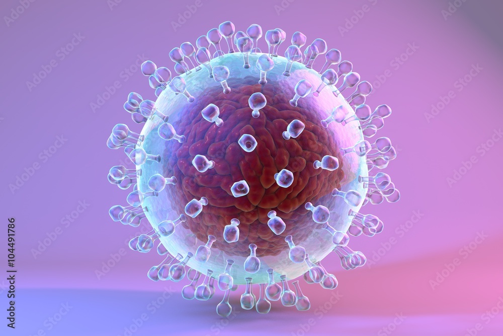 Hepatitis C virus model. A virus consists of a protein coat (capsid ...