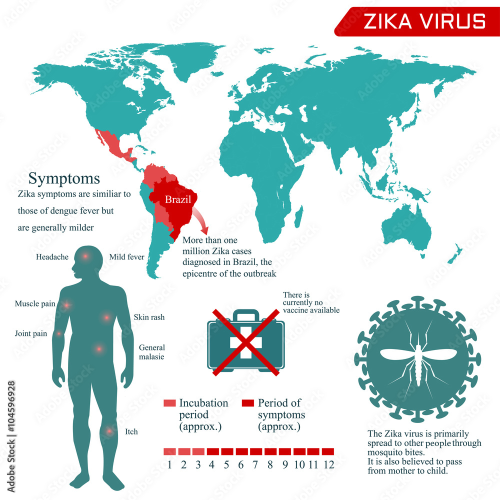 Zika virus infographic elements - prevention, transmission, vaccine ...