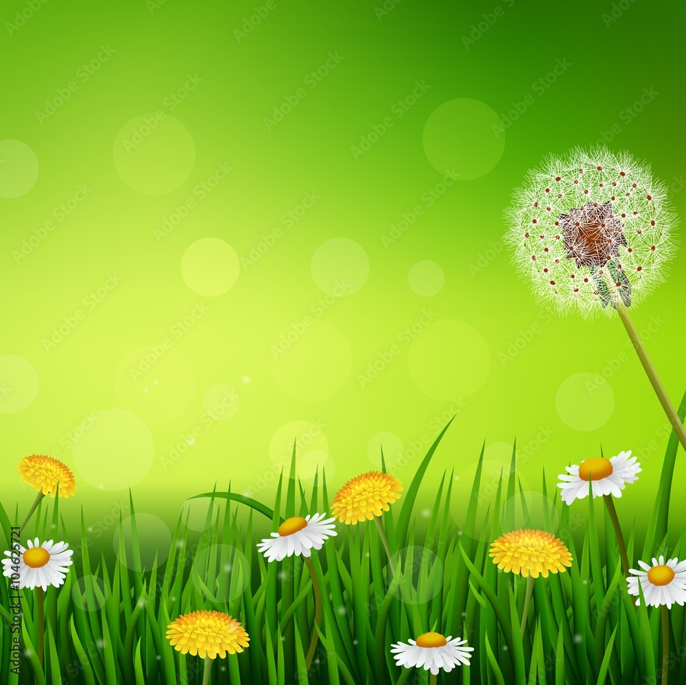 Beautiful Spring or summer season nature background Stock Vector ...