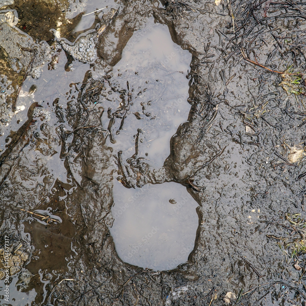 footprint in the mud close up Stock Photo | Adobe Stock