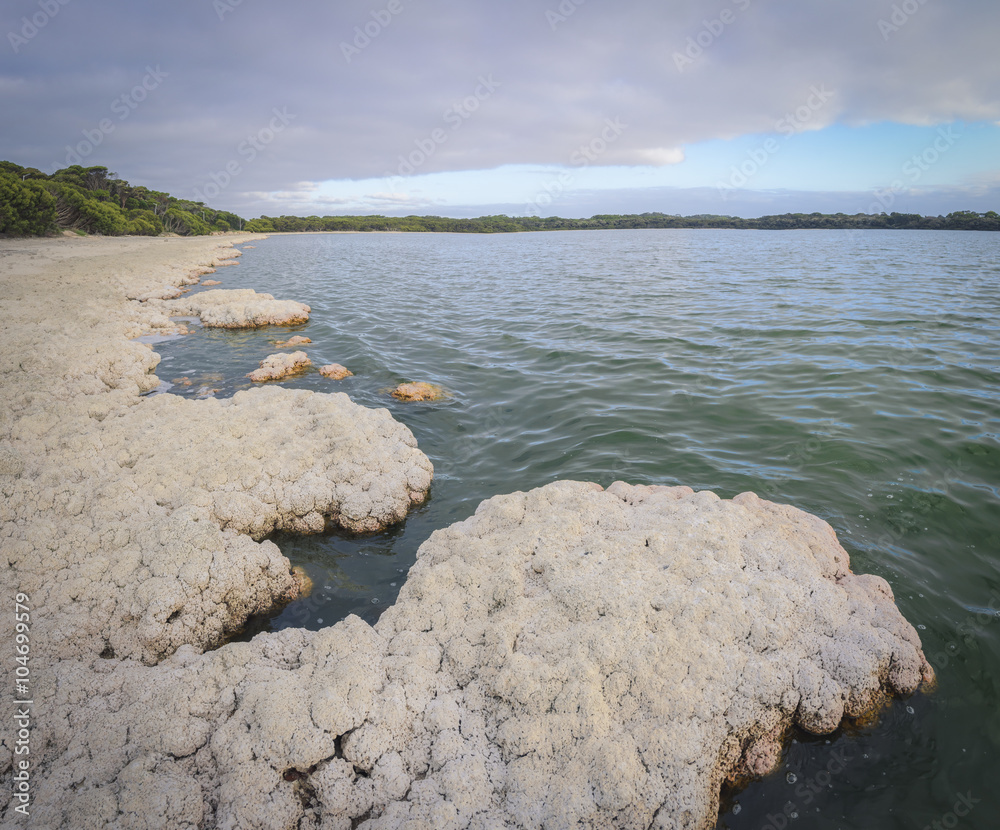 Salt mineral geologic lake waterfront line Stock Photo | Adobe Stock