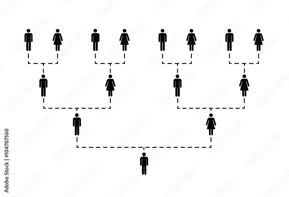 Family tree of several generations on white Stock Vector | Adobe Stock