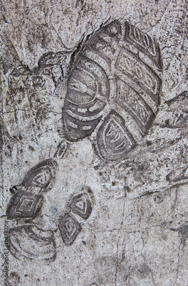 Boot print hardened on the concrete surface foto de Stock | Adobe Stock